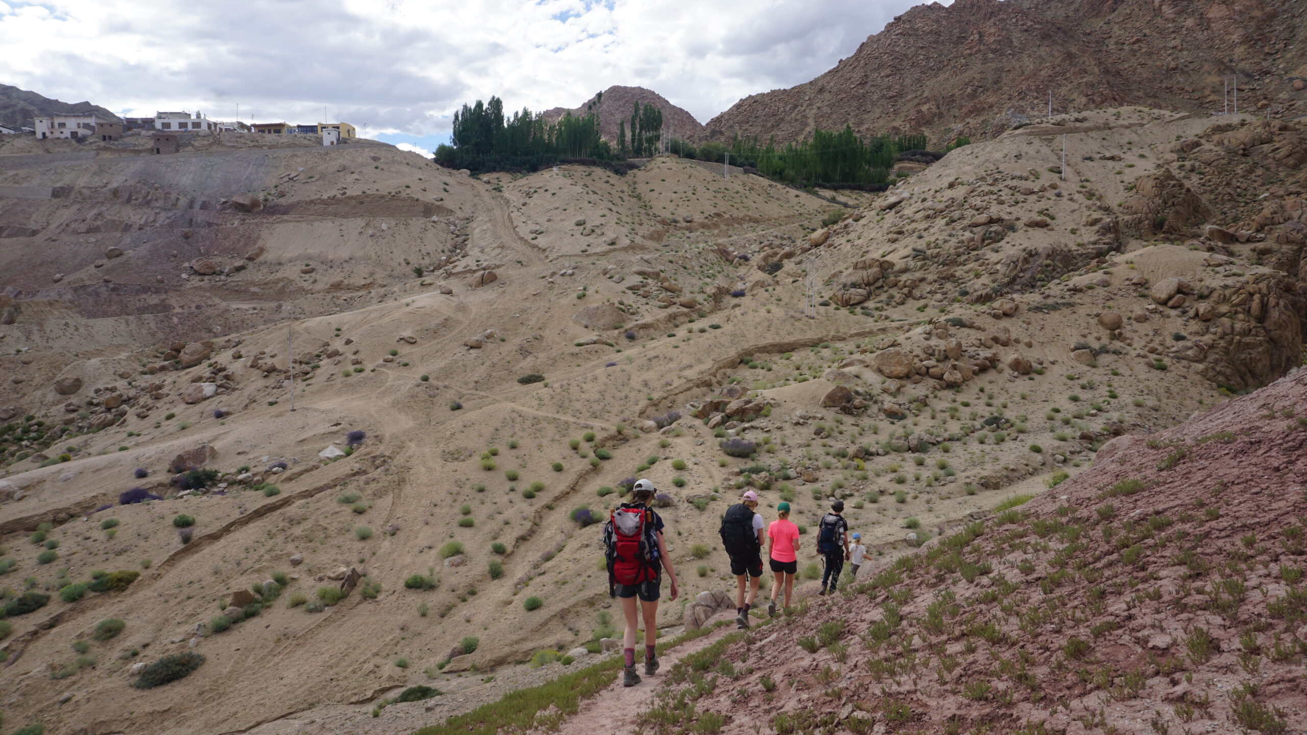 6 Best Treks in Ladakh — From Easy to Epic Adventures - Blog